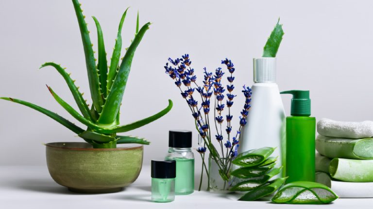 Claves para entender la cosmética vegana | Sisneo Bioscience